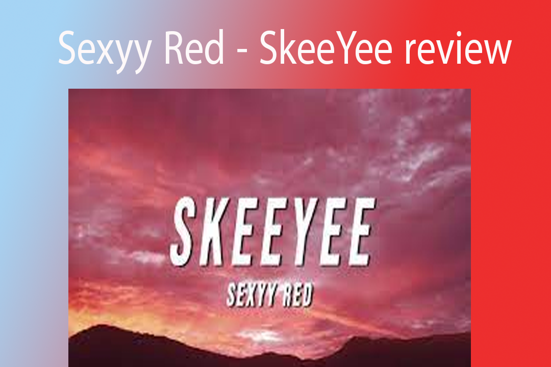 Sexyy Red Skeeyee Lyrics